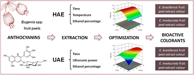 Recovery of anthocyanins from Eugenia spp. fruit peels: a comparison ...