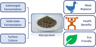 Mycoprotein: production and nutritional aspects: a review - Sustainable ...