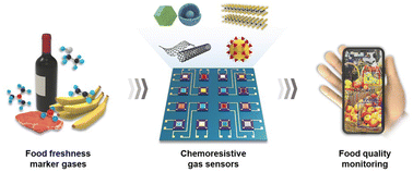 Food quality assessment using chemoresistive gas sensors: achievements ...