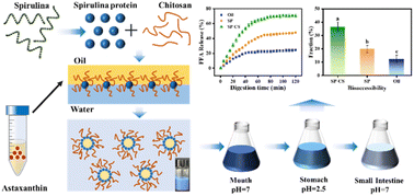 Pickering emulsions stabilized with a spirulina protein–chitosan ...