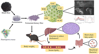 Characterization and the cholesterol-lowering effect of dietary fiber ...