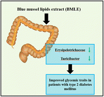 Effects of lipid extract from blue mussel (Mytilus edulis) on gut ...
