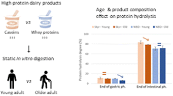 In vitro digestion of two protein-rich dairy products in the ageing ...