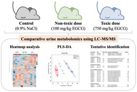 Comparative urine metabolomics of mice treated with non-toxic and toxic ...