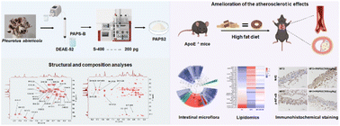 The amelioration of a purified Pleurotus abieticola polysaccharide on ...