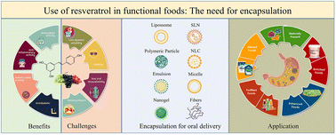 Recent advances in oral delivery systems of resveratrol: foreseeing ...