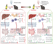 Lactic acid fermentation of goji berries (Lycium barbarum) prevents ...
