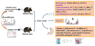 Anti-diabetic effects of natural and modified ‘Ganzhou’ navel orange ...