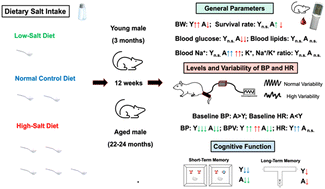 Age differences in the impact of dietary salt on metabolism, blood ...
