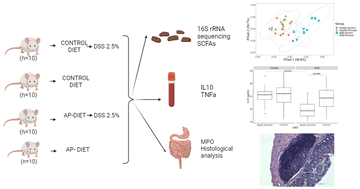 Gut microbiota modulation and effects of a diet enriched in apple ...