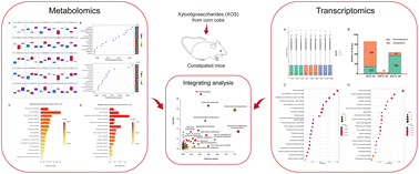 Integrated metabolomics and transcriptomics revealed the anti ...
