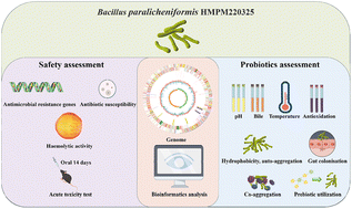 Molecular identification and safety assessment of the potential ...