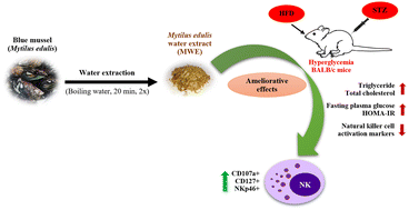 Blue mussel (Mytilus edulis) water extract ameliorates intestinal ...