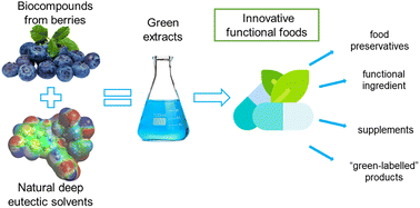 Potential application of green extracts rich in phenolics for ...