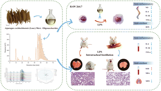 Oligosaccharides from Asparagus cochinchinensis for ameliorating LPS ...