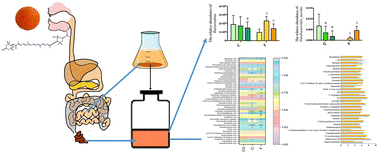 Fucoxanthin restructures the gut microbiota and metabolic functions of ...