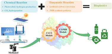 Hybrid synthesis of polyhydroxybutyrate bioplastics from carbon dioxide ...
