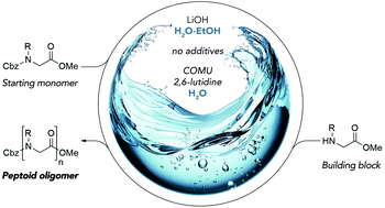 Greener peptoid synthesis in additive-free water-based media - Green ...