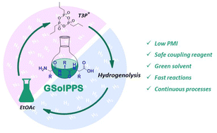 Speeding up sustainable solution-phase peptide synthesis using T3P® as a green coupling reagent ...