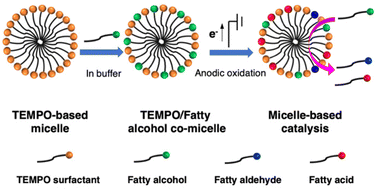 Nitroxide radical surfactants enable electrocatalytic oxidation of ...