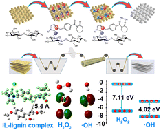 Efficient catalysis of H2O2 with ionic liquid molecules to generate ...