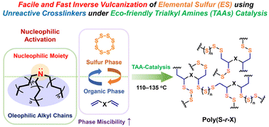 Inverse vulcanization of elemental sulfur catalyzed by trialkyl amines ...
