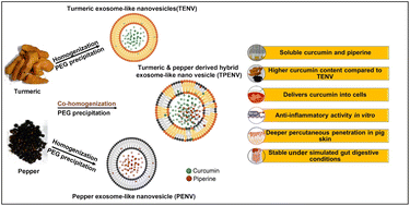 An eco-friendly one-pot extraction process for curcumin and its ...