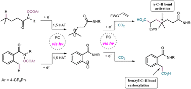 Photocarboxylation of remote C–H bonds through nitrogen-centred radical ...