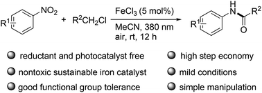 Visible-light-induced iron-catalyzed synthesis of N-aryl amides from ...