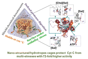 Nano-structured hydrotrope-caged cytochrome c with boosted stability in ...