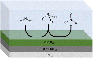 A CoOxHy/β-NiOOH electrocatalyst for robust ammonia oxidation to ...
