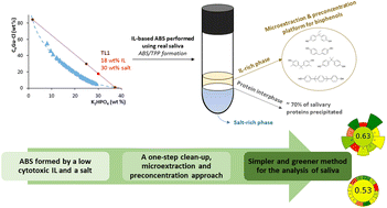Ionic liquid-based aqueous biphasic systems as one-step clean-up ...