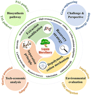 Bio-based platform chemicals synthesized from lignin biorefinery ...