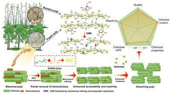 The complete conversion of bleached kraft pulp into dissolving pulp and ...