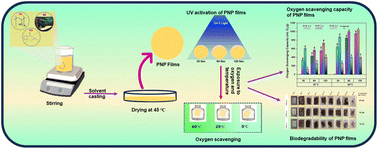 Ultra-violet light-driven green oxygen scavenging composite made of PVA/NRL for active packaging ...