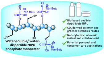 Phosphate functionalized nonisocyanate polyurethanes with bio-origin ...