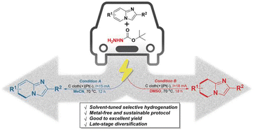 Electrochemical-induced solvent-tuned selective transfer hydrogenation ...