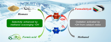 Efficient catalytic oxidation of biomass to formic acid coupled with ...
