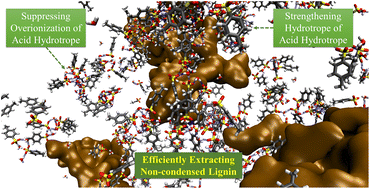 Unraveling lignin extraction: molecular dynamics insights into ...