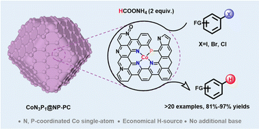 Asymmetric CoN3P1 single-atom catalytic sites for enhanced transfer ...
