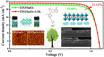 Performance enhancement of perovskite solar cells by doping non-toxic ...