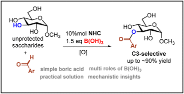 NHC/B(OH)3-mediated C3-selective acylation of unprotected ...