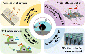 Optimized mass transfer in a Pt-based cathode catalyst layer for PEM ...