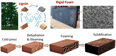 Eco-foaming lignin for innovative rigid foam - Green Chemistry (RSC ...