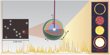 Exploration of LIBS as a novel and rapid elemental mapping technique of ...
