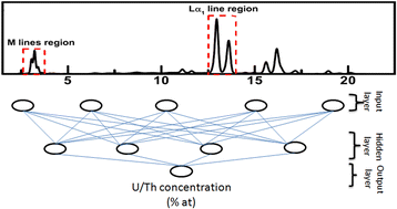 An X-ray fluorescence and machine learning based methodology for the ...