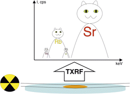 Total-reflection X-ray fluorescence determination of thorium and ...