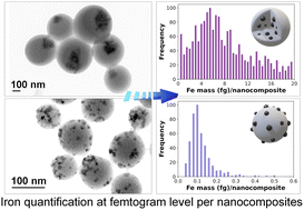 Iron quantification at the sub femtogram level in magnetite hybrid ...