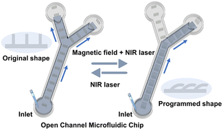 Open-channel microfluidic chip based on shape memory polymer for controllable liquid transport ...