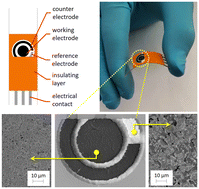 A lab-made screen-printed sensing strip for sensitive and selective ...